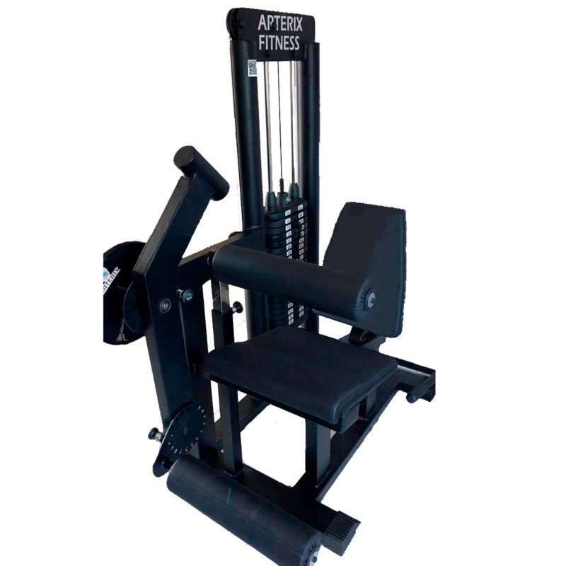 Cadeira Flexora/ Extensora Profissional – Arterix